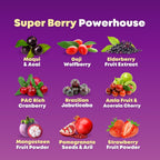 elderberry capsules for seasonal support