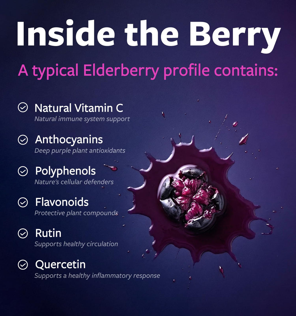elderberry capsules for seasonal support
