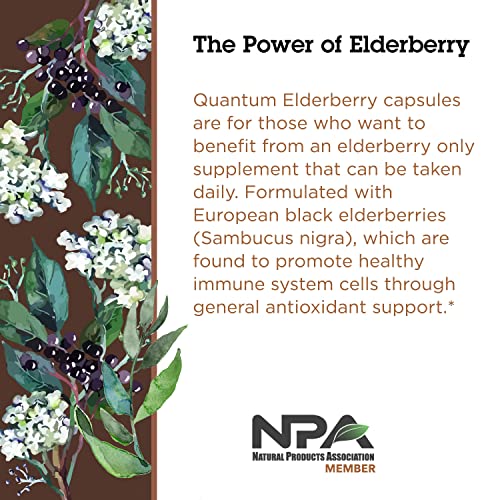 Elderberry capsules for seasonal support