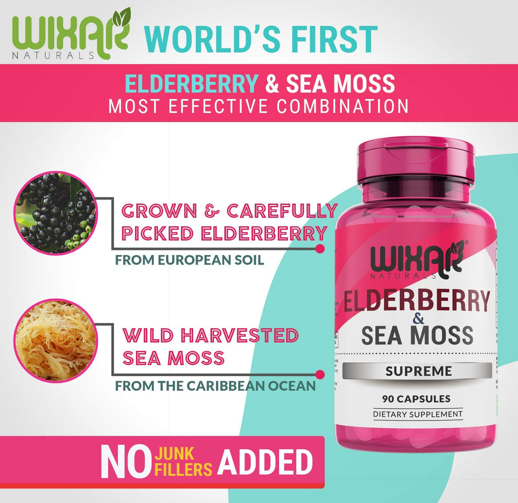 elderberry capsules for seasonal wellness
