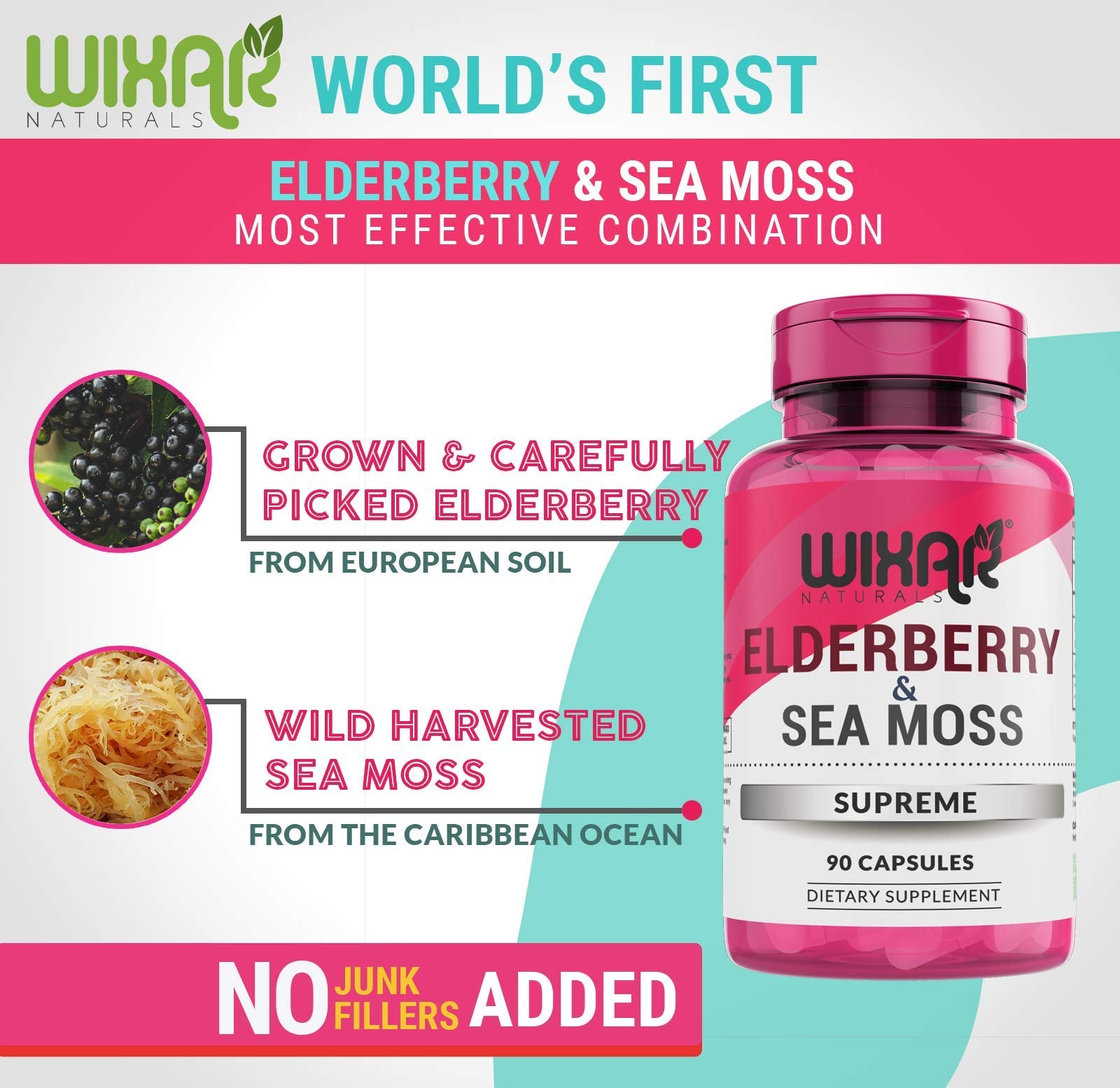 elderberry capsules for seasonal wellness