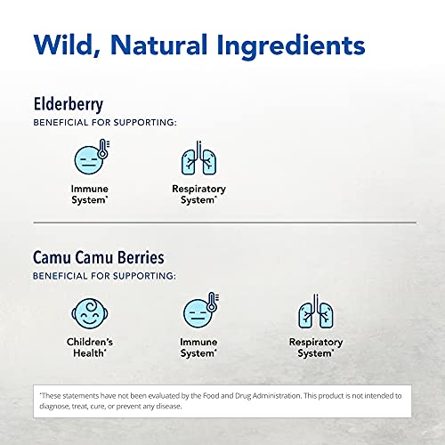 Elderberry capsules for seasonal wellness