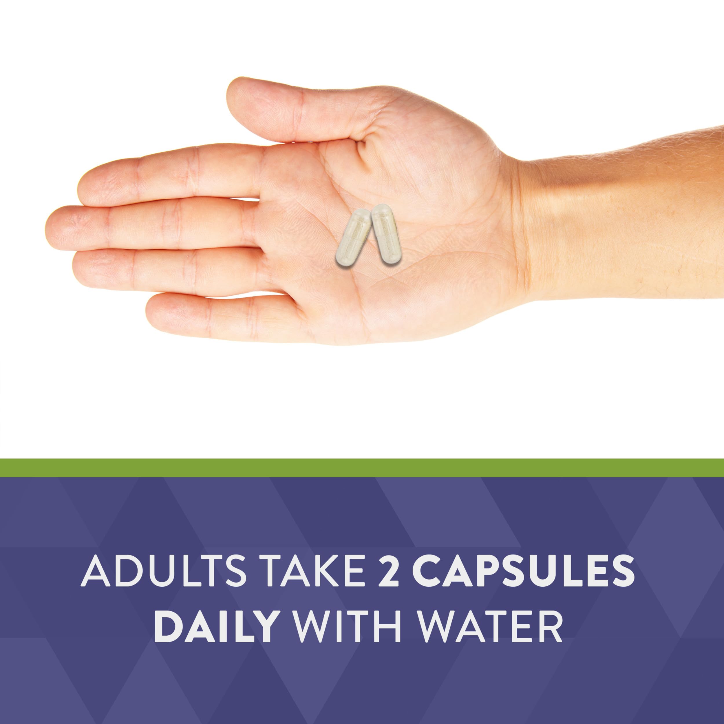 elderberry capsules for seasonal wellness