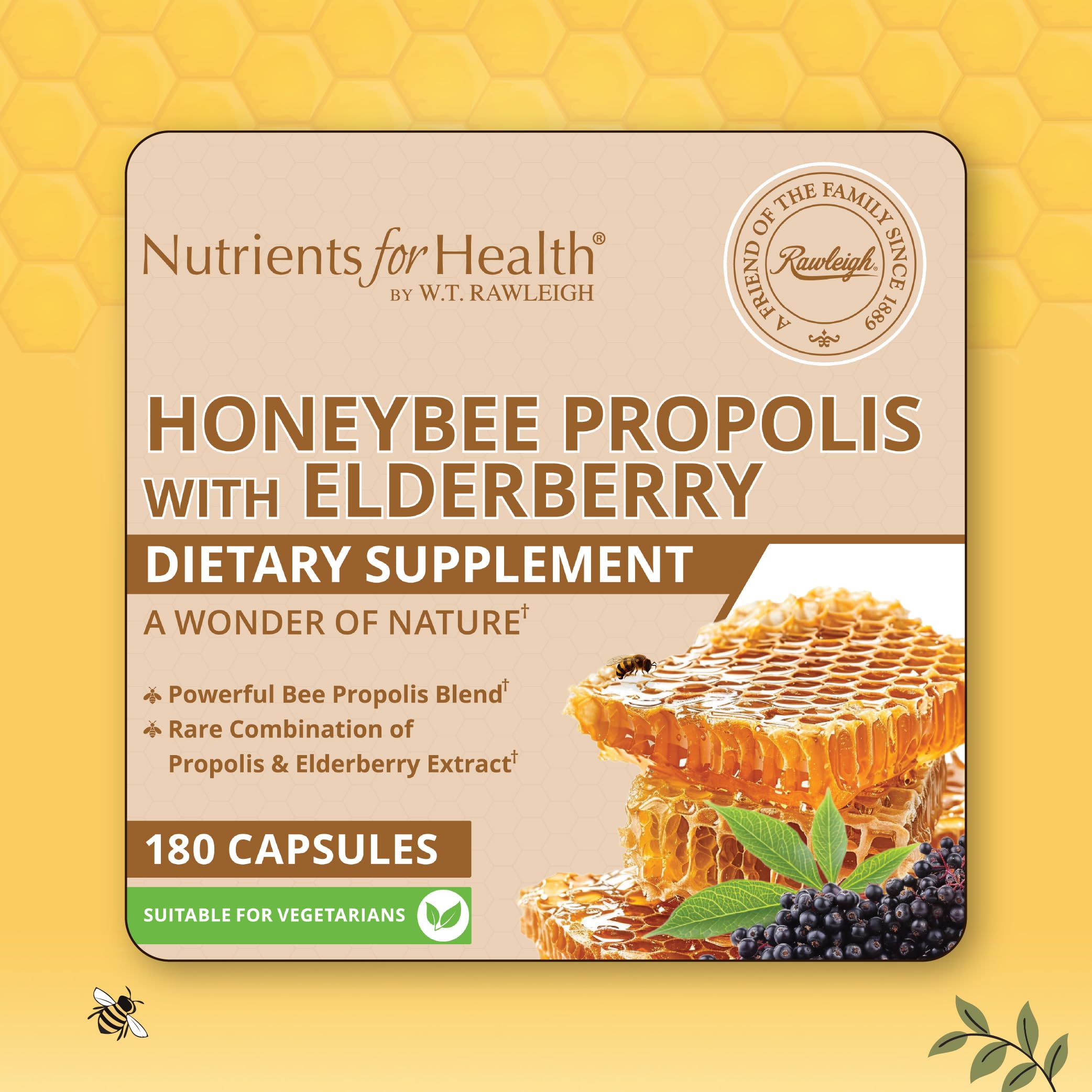Elderberry capsules for year-round immunity