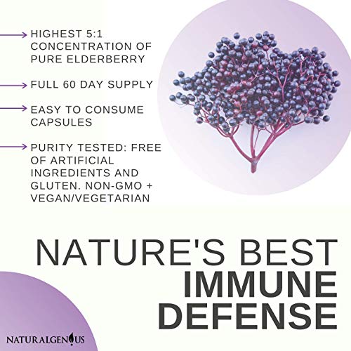 Elderberry capsules with 1200mg strength