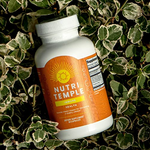 elderberry capsules with antioxidants