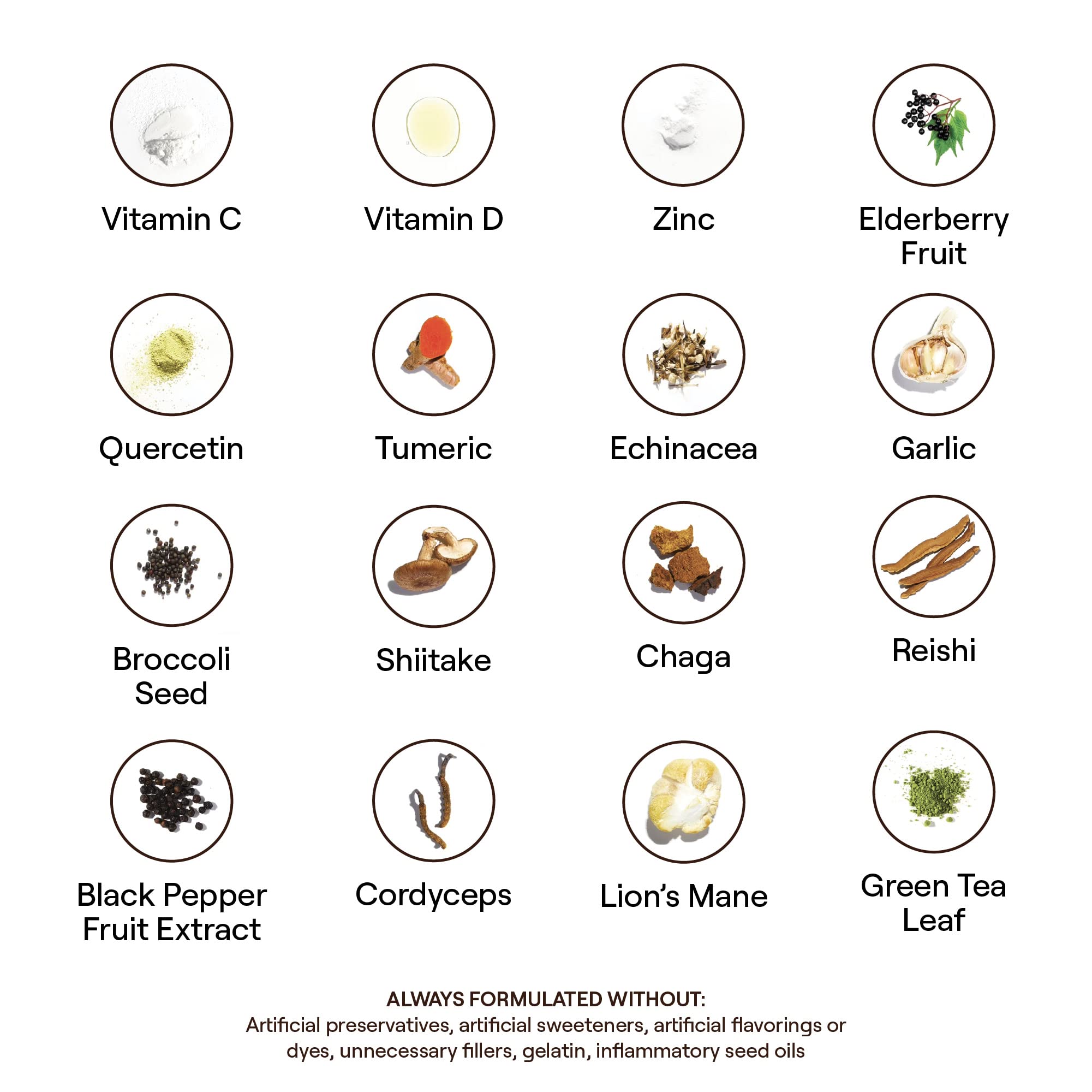 Elderberry capsules with echinacea extract