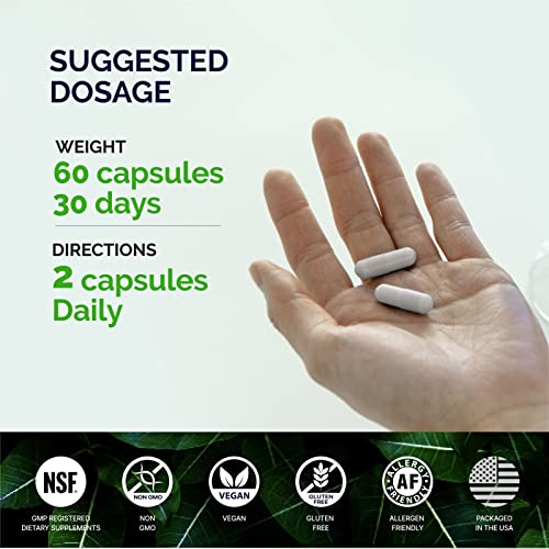 Elderberry capsules with herbal ingredients