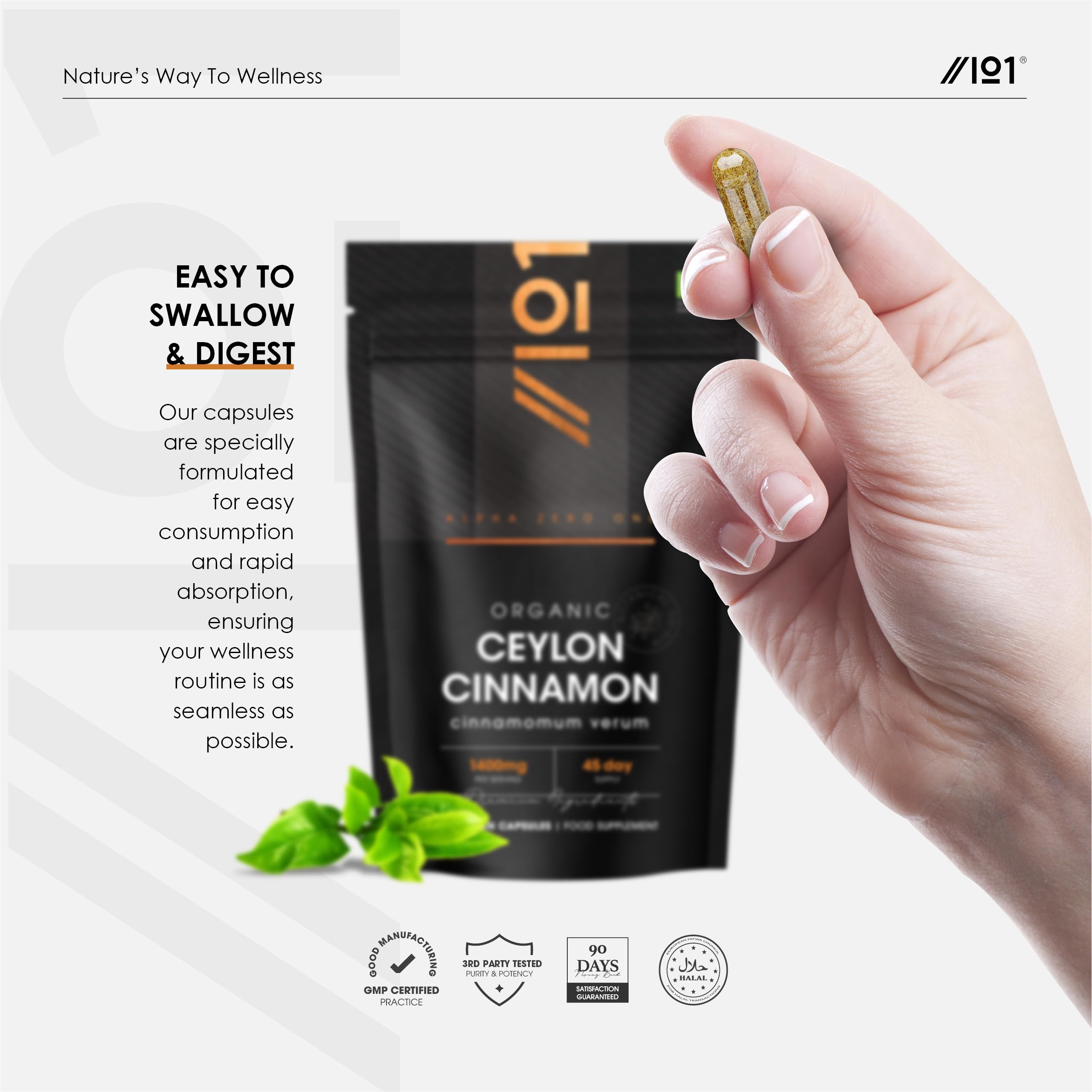 elderberry capsules with no additives