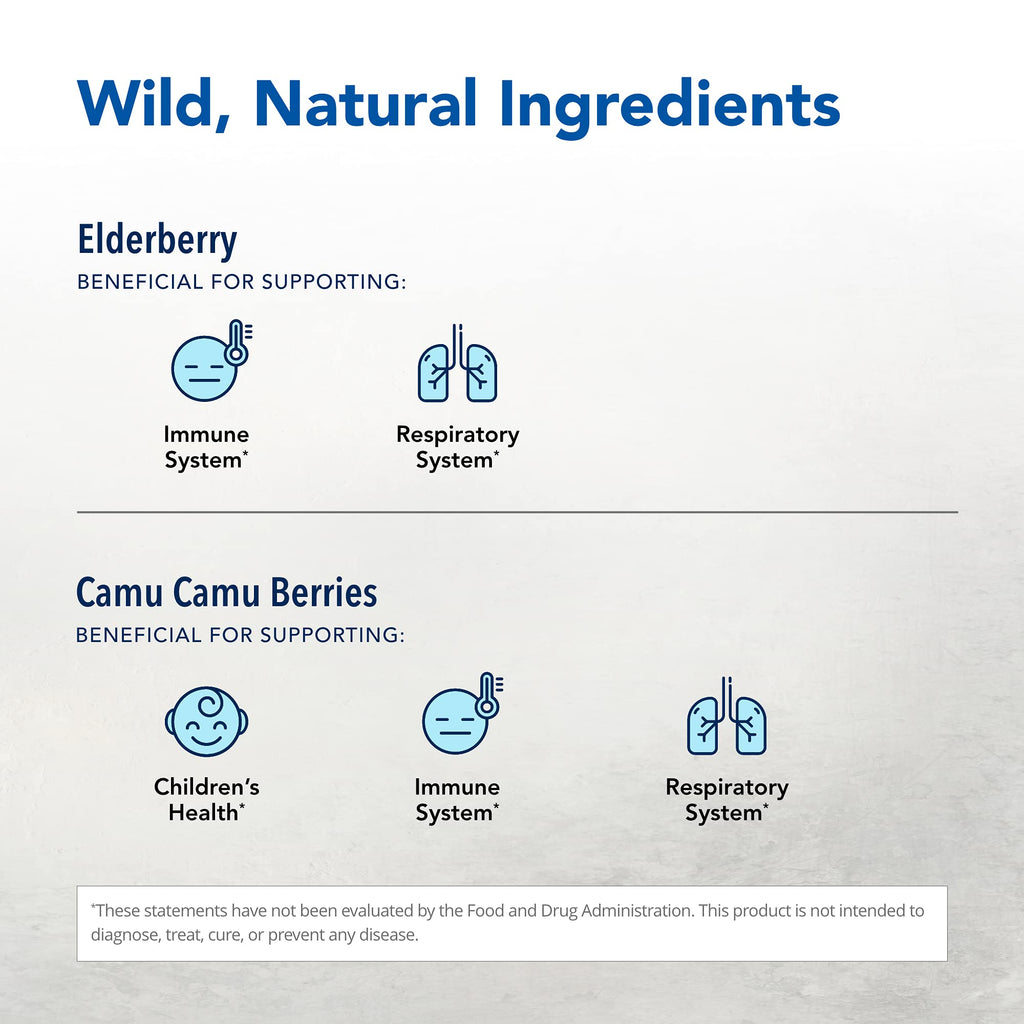 Elderberry concentrate for daily vitality