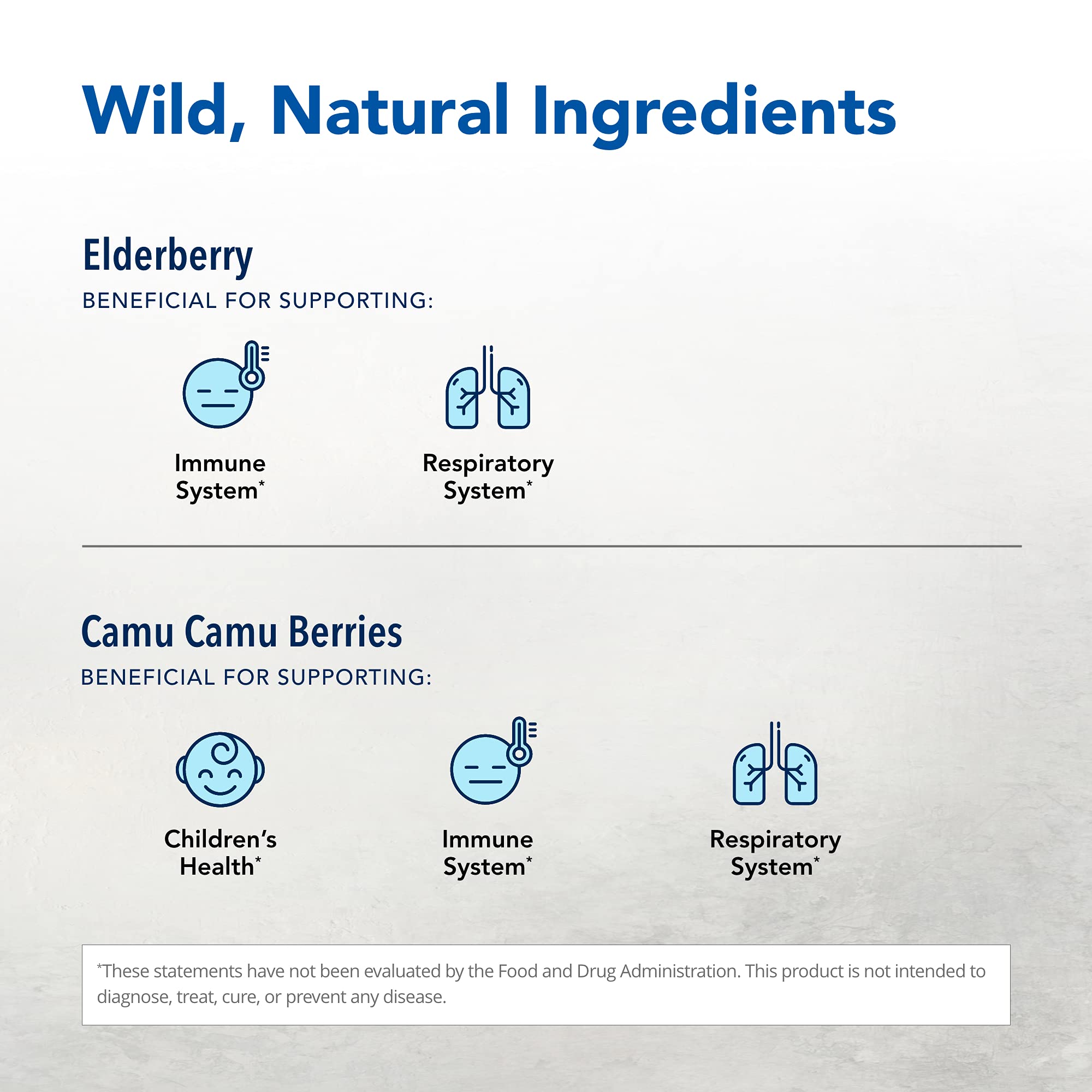 Elderberry concentrate for daily vitality
