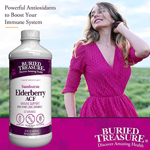 elderberry concentrate for everyday use