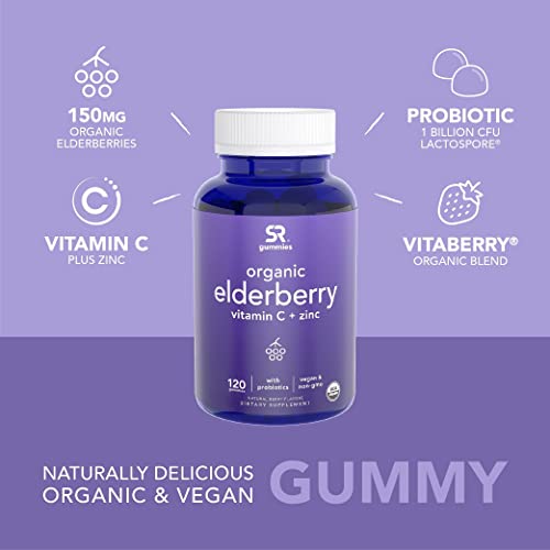 elderberry concentrate for gut health