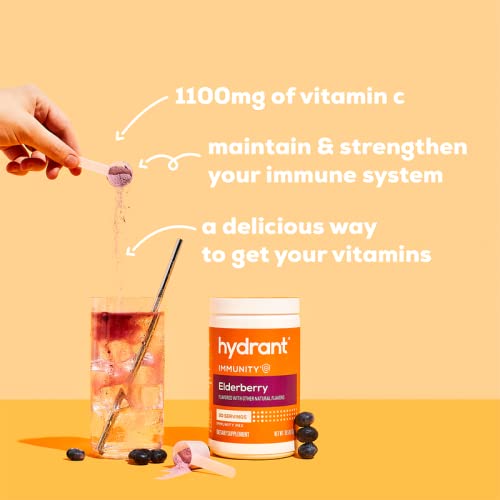 Elderberry electrolyte mix for energy