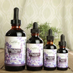 Elderberry elixir for seasonal support