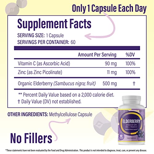 elderberry extract capsules for vitality