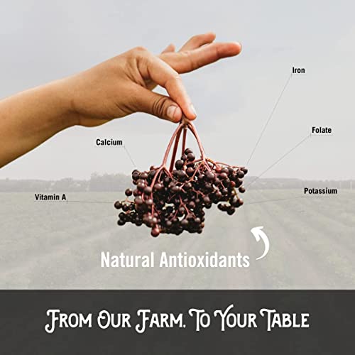 elderberry extract for a healthier lifestyle