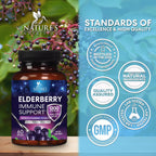 Elderberry extract for a healthy lifestyle