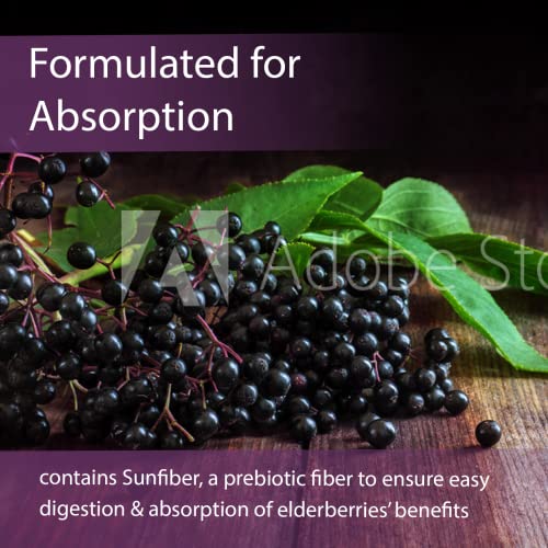 Elderberry extract for antioxidant support