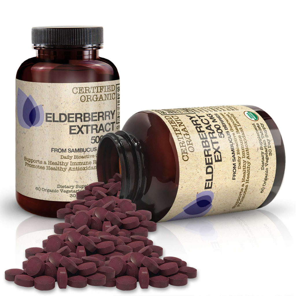 elderberry extract for antioxidant support