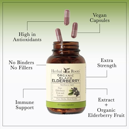 elderberry extract for daily health boost