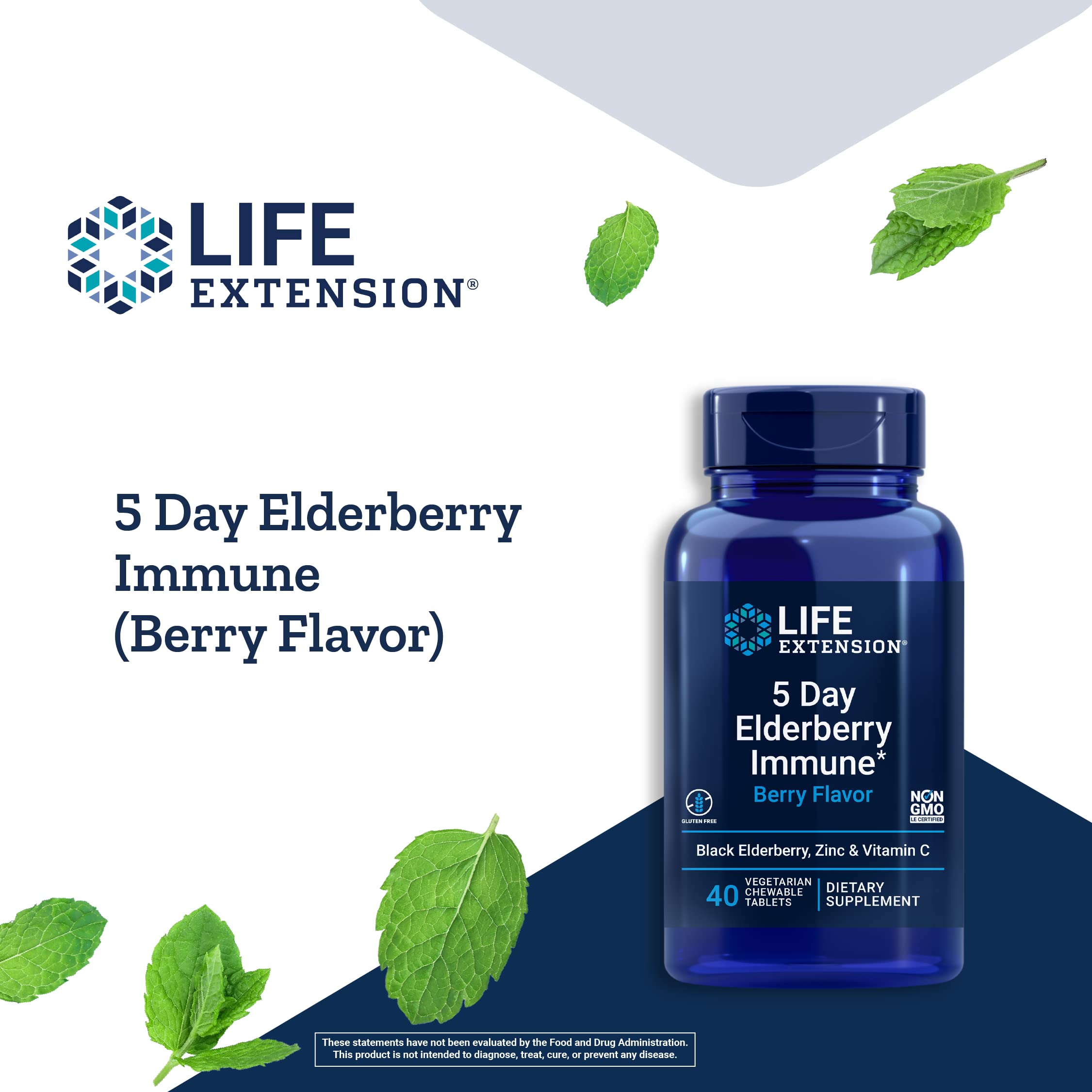 Elderberry extract for daily health