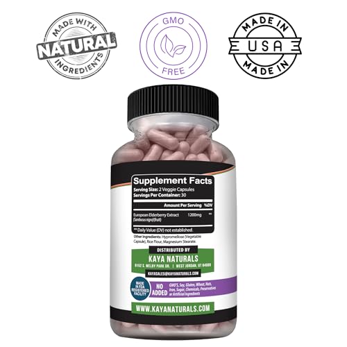elderberry extract for daily health
