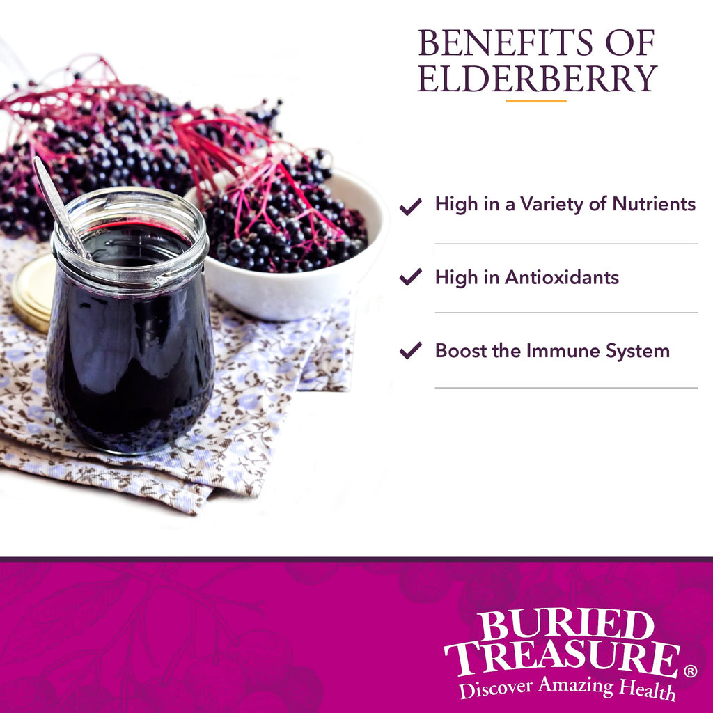 elderberry extract for daily wellness