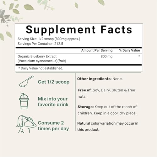 elderberry extract for daily wellness