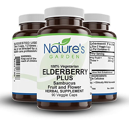 Elderberry extract for everyday wellness