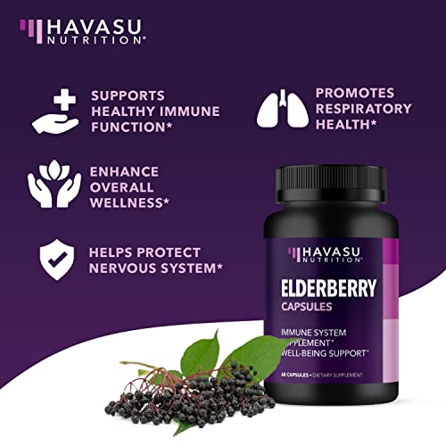 Elderberry extract for holistic health