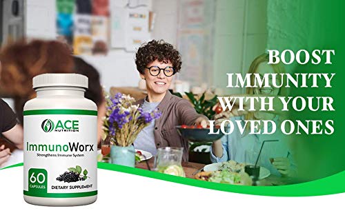 Elderberry extract for immune boost