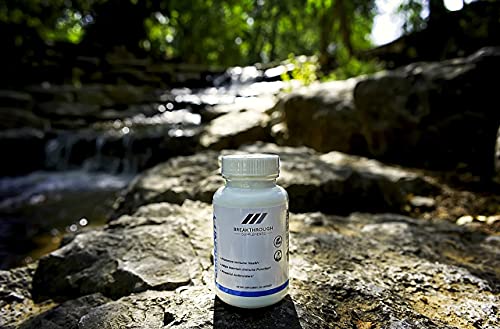 elderberry extract for immune support