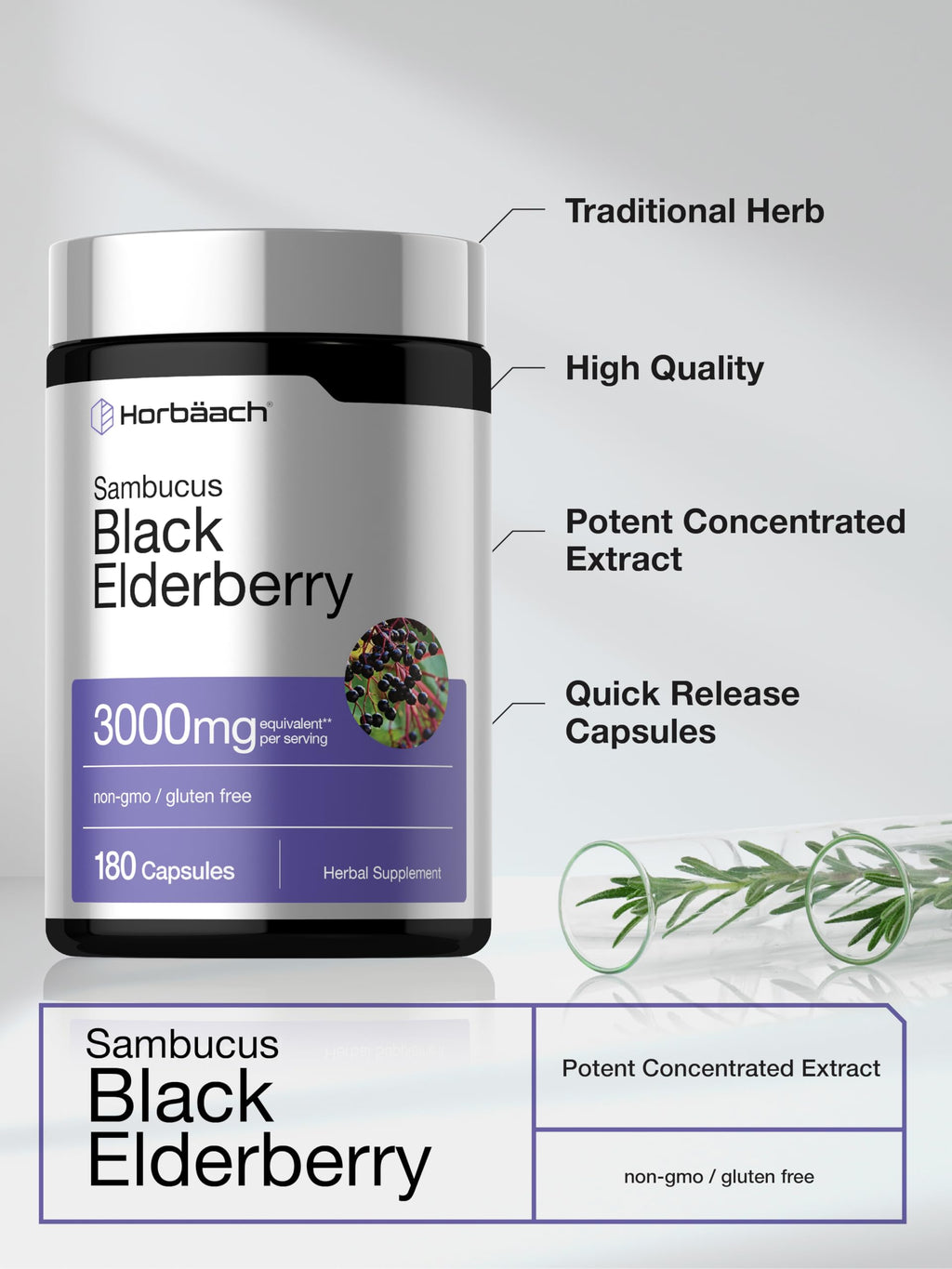 Elderberry extract for immune system boost