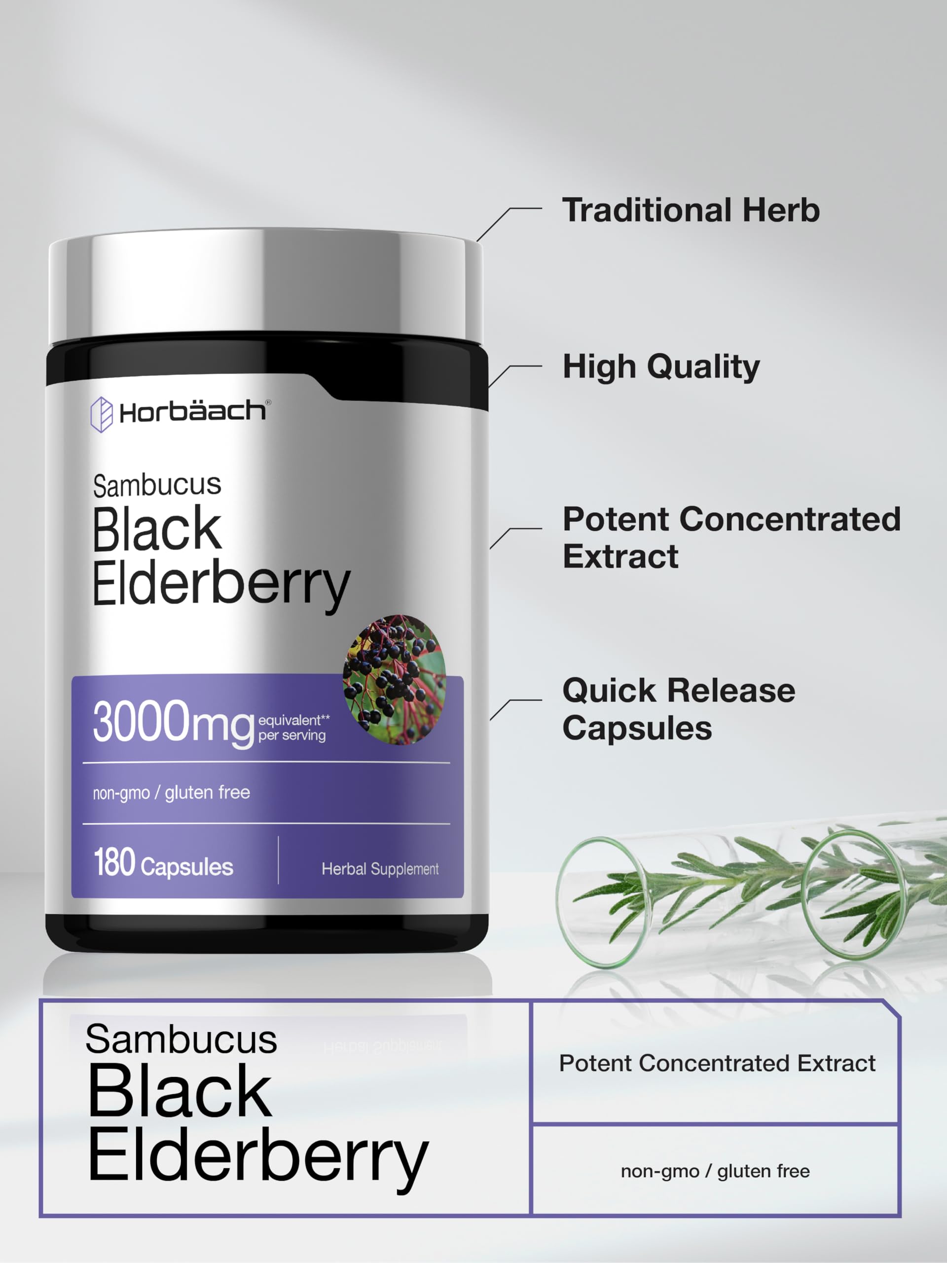 Elderberry extract for immune system boost