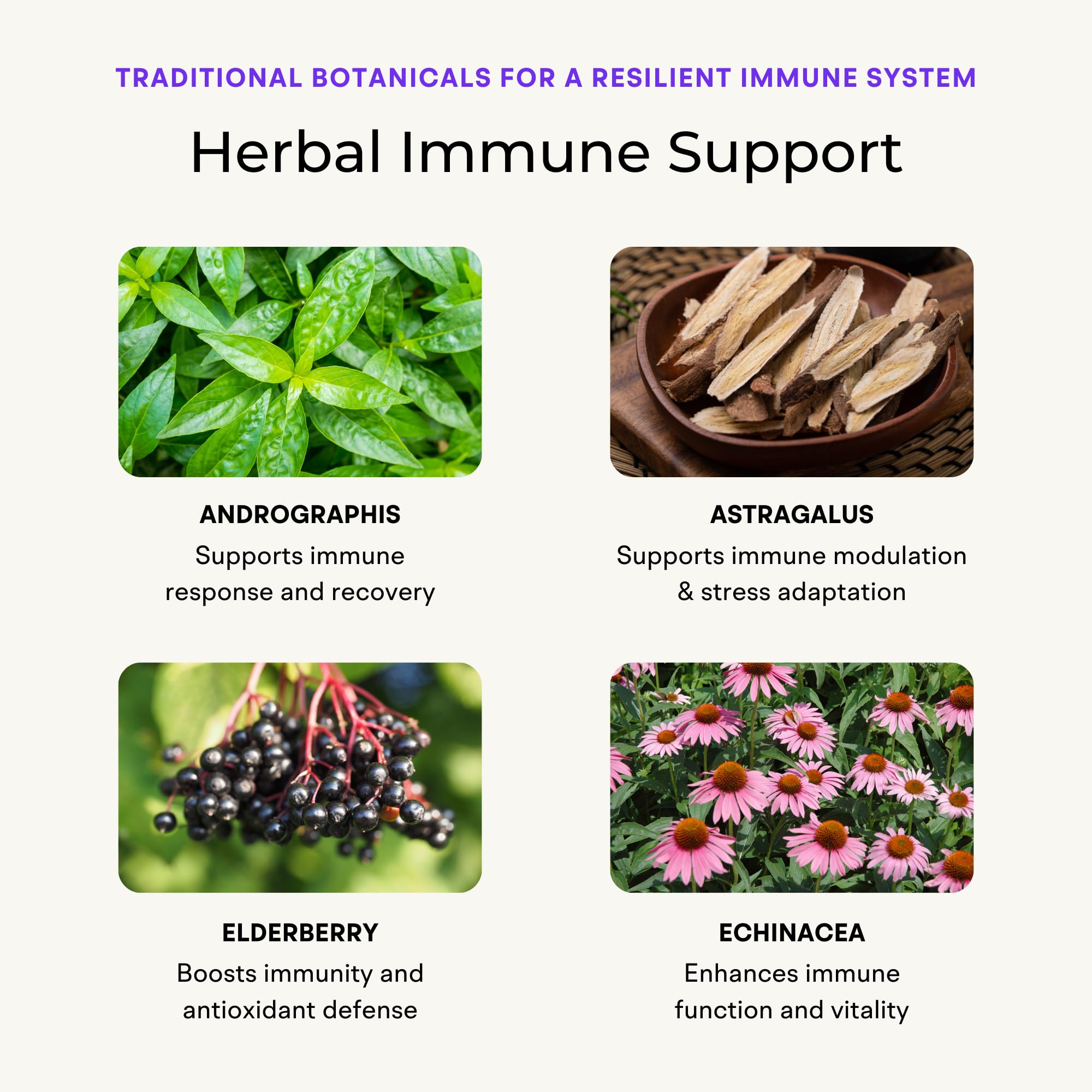 elderberry extract for natural defense