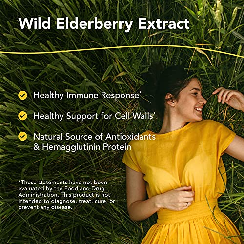 Elderberry extract for seasonal health