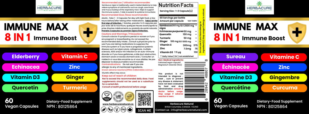Elderberry extract for seasonal health