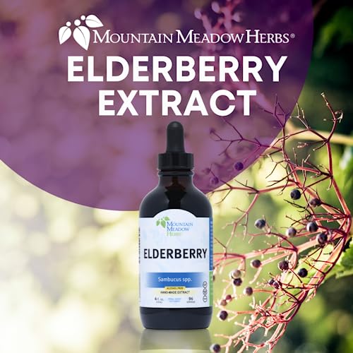 elderberry extract for seasonal support