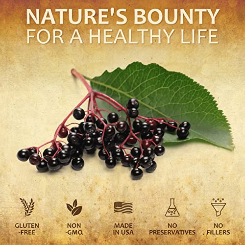 Elderberry extract for seasonal wellness