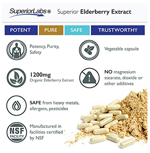 elderberry extract for seasonal wellness