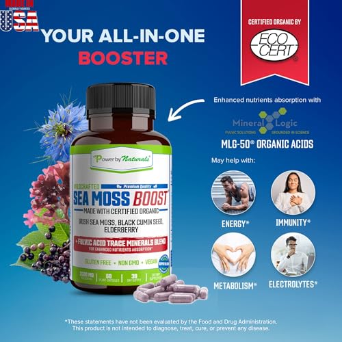 elderberry extract for seasonal wellness