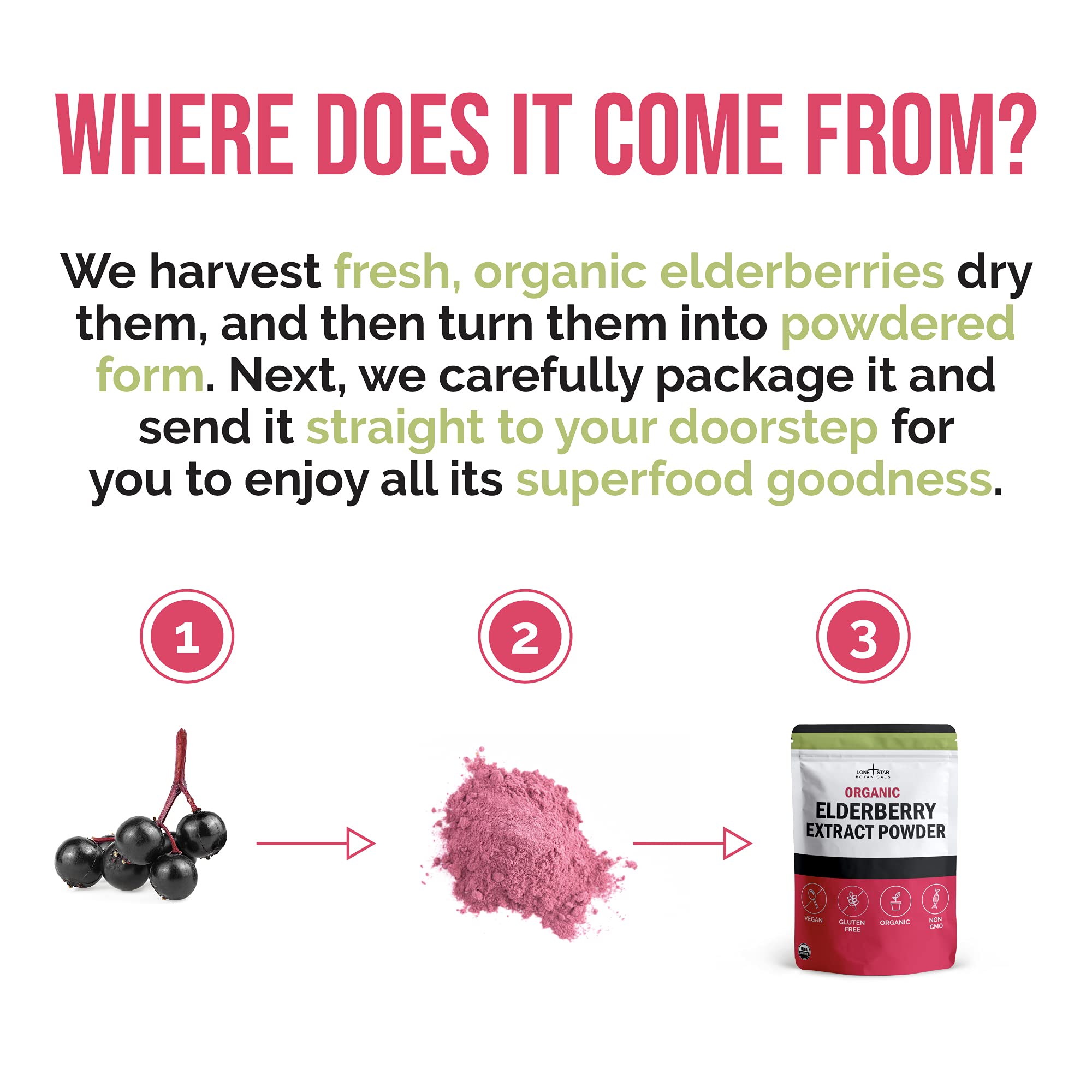 elderberry extract for seasonal wellness