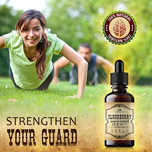Elderberry extract to boost your health