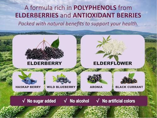 Elderberry extract with blueberries