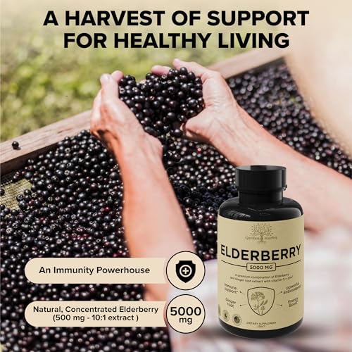 Elderberry extract with zinc for immunity
