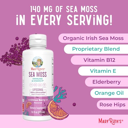 elderberry for a healthy lifestyle