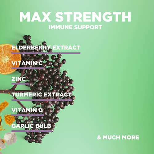 elderberry for enhanced antioxidant support