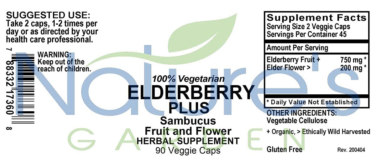 Elderberry for enhanced immune function