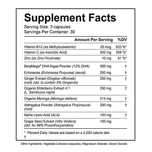 elderberry for focus and vitality